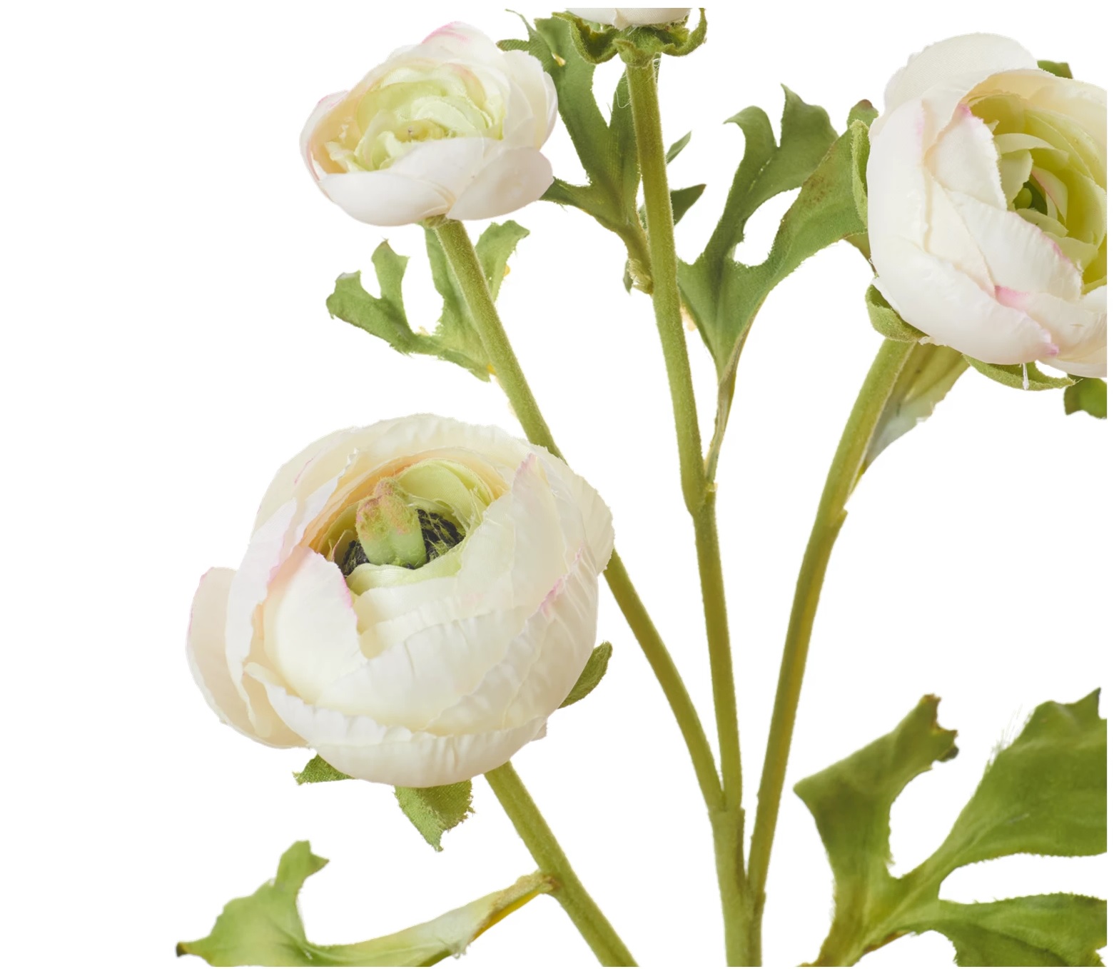 Neptune Flower Shop - Topstak