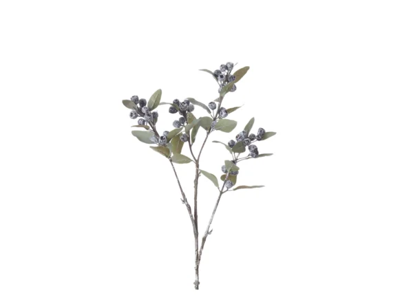 Neptune Eucalyptus Berry Spray - Damson